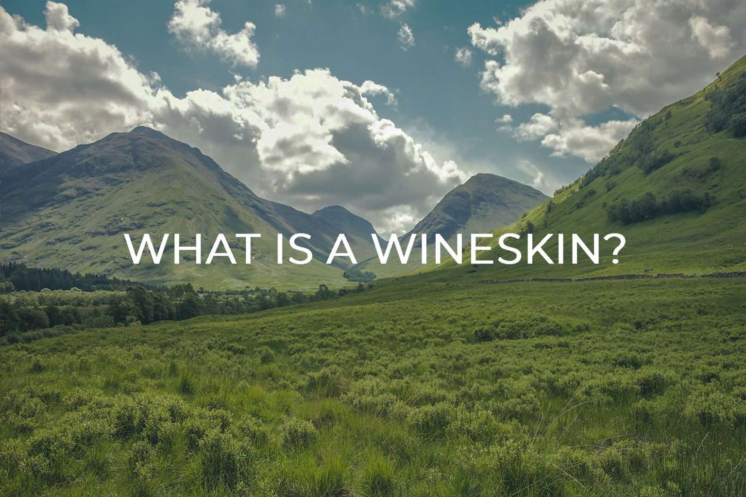 Peace Apostolic Ministries | What is a Wineskin?